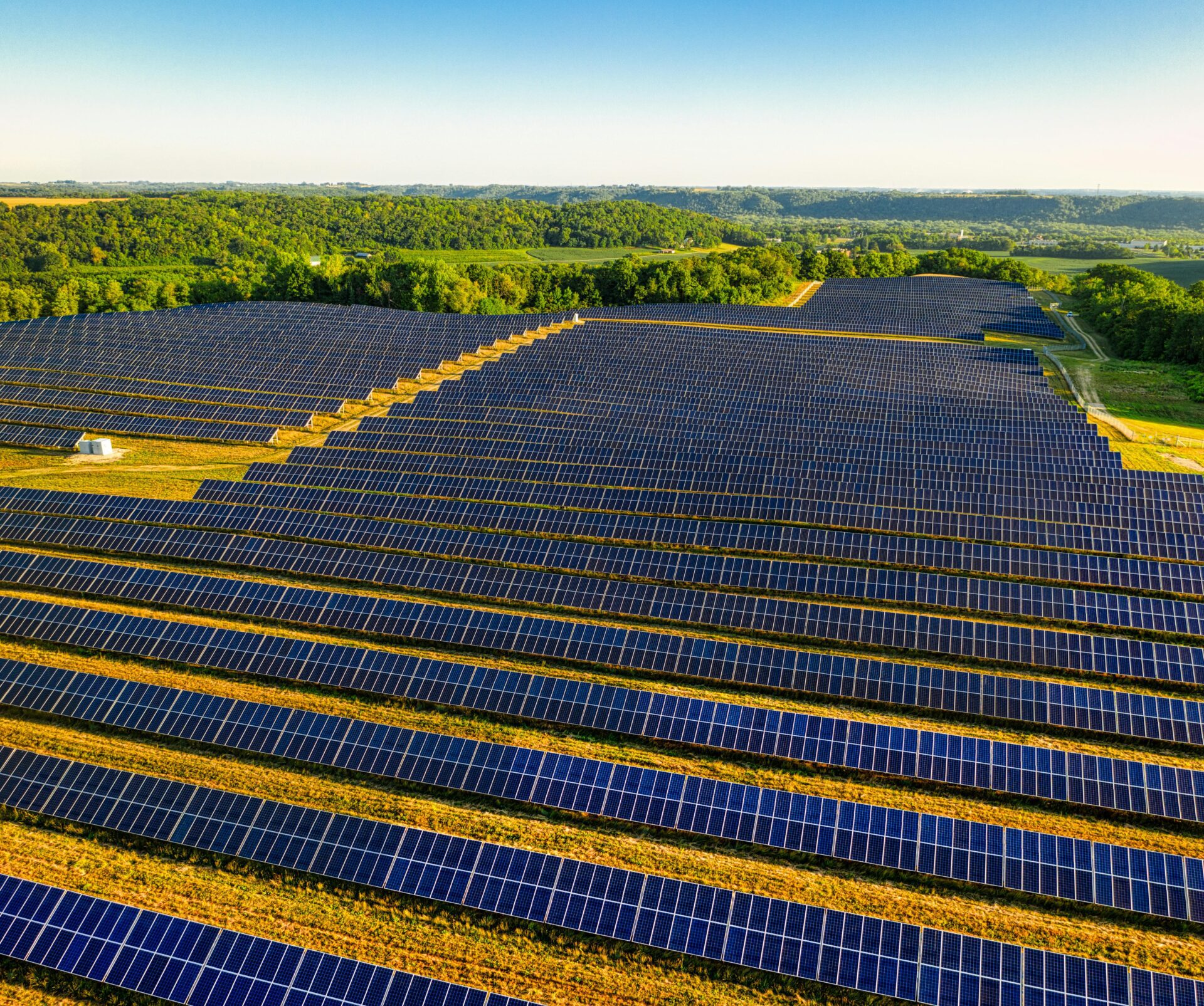 Why You Need Solar Farm Weed Control in Texas